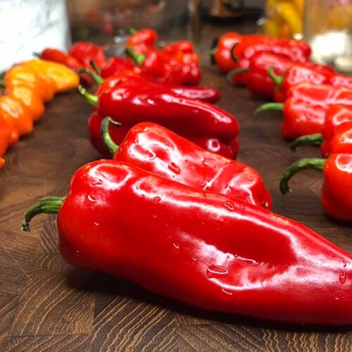 Habanada Peppers - The Non-Spicy Habanero Variety - Pepper Geek
