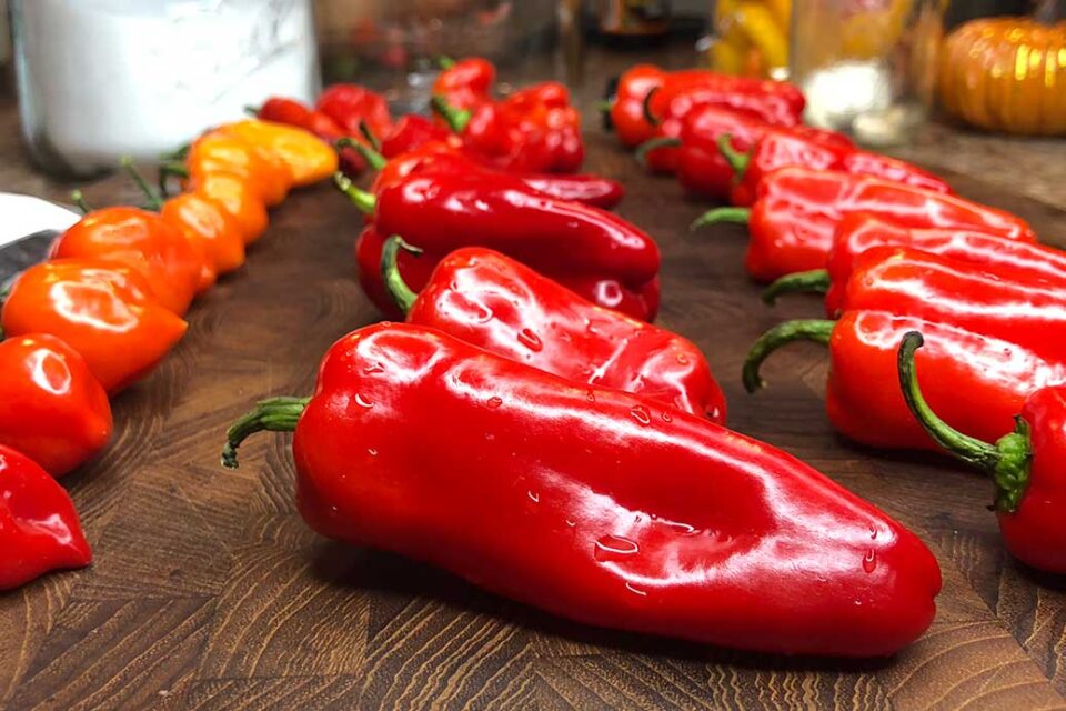 How To Stop Hot Pepper Burn On Hands & Skin - Pepper Geek