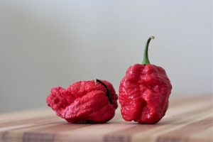 7 Pot Brain Strain Pepper - Scoville & Growing Guide | Pepper Geek