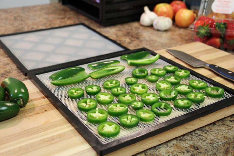 Jalapeno Powder Recipe - Easy 5 Step Guide - Pepper Geek