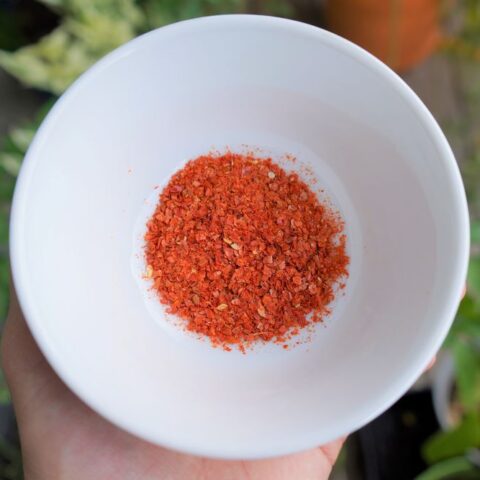 7 Cayenne Pepper Substitute Options - Tasty Alternatives | Pepper Geek
