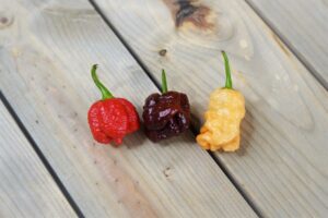 The 5 Major Pepper Species - Incredible Diversity! Pepper Geek