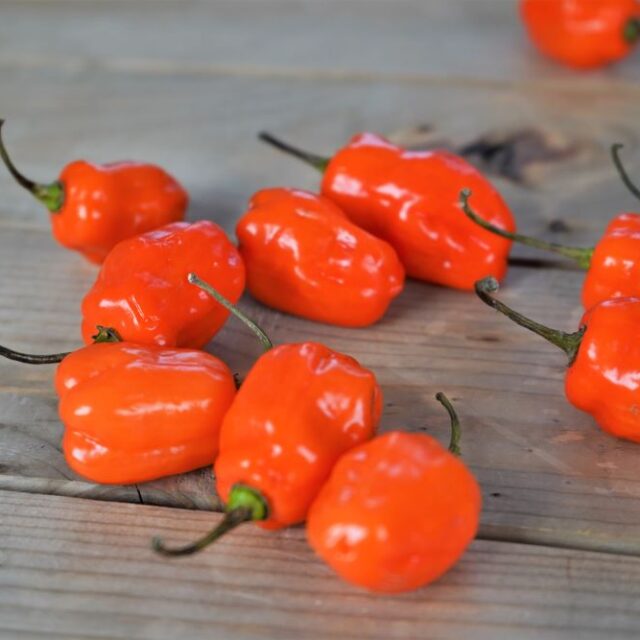 Serrano Peppers - Scoville Scale and Interesting Facts - Pepper Geek