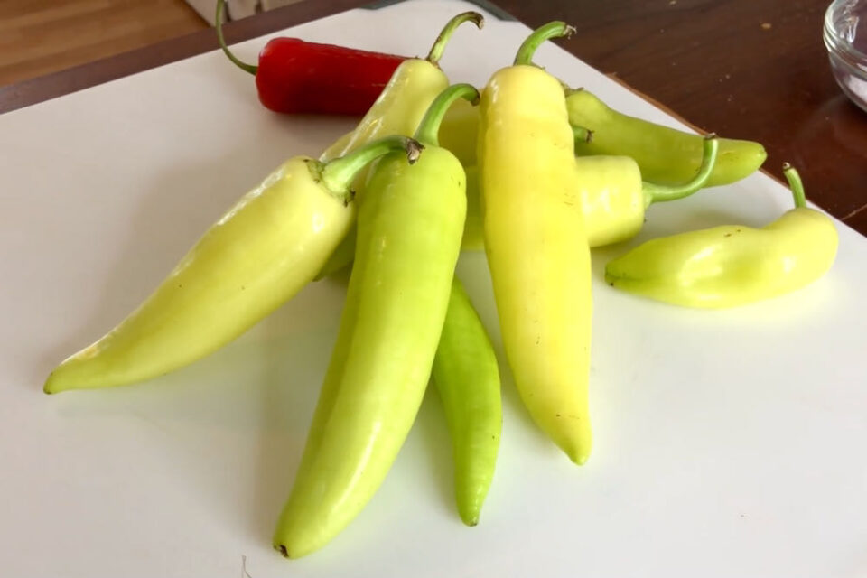 Cheesy Stuffed Banana Peppers - Pepper Geek