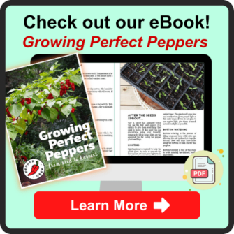Best Container Size For Pepper Plants - Potted Peppers - Pepper Geek