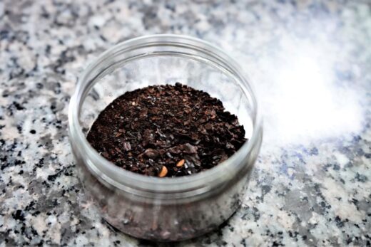 Pasilla Pepper: A Wonderful Mexican Chile - Pepper Geek