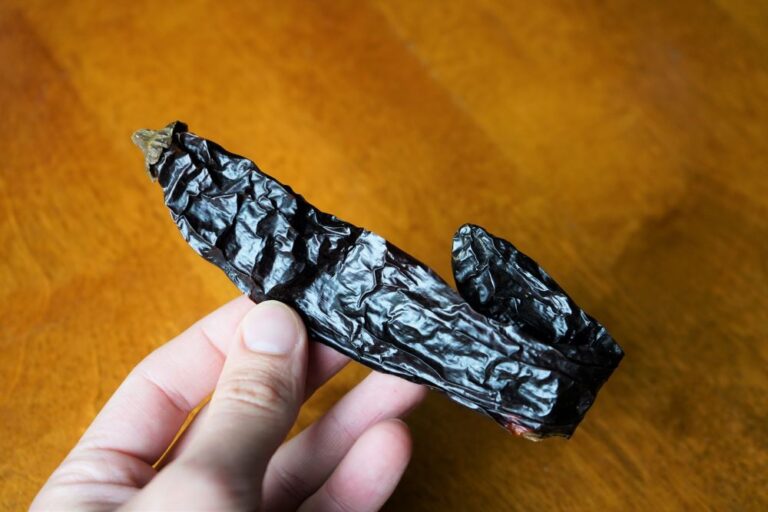 Pasilla Pepper: A Wonderful Mexican Chile - Pepper Geek
