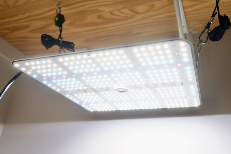 The Best Grow Lights For Pepper Plants - Pepper Geek