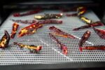 5 Chipotle Pepper Substitutes - Pepper Geek