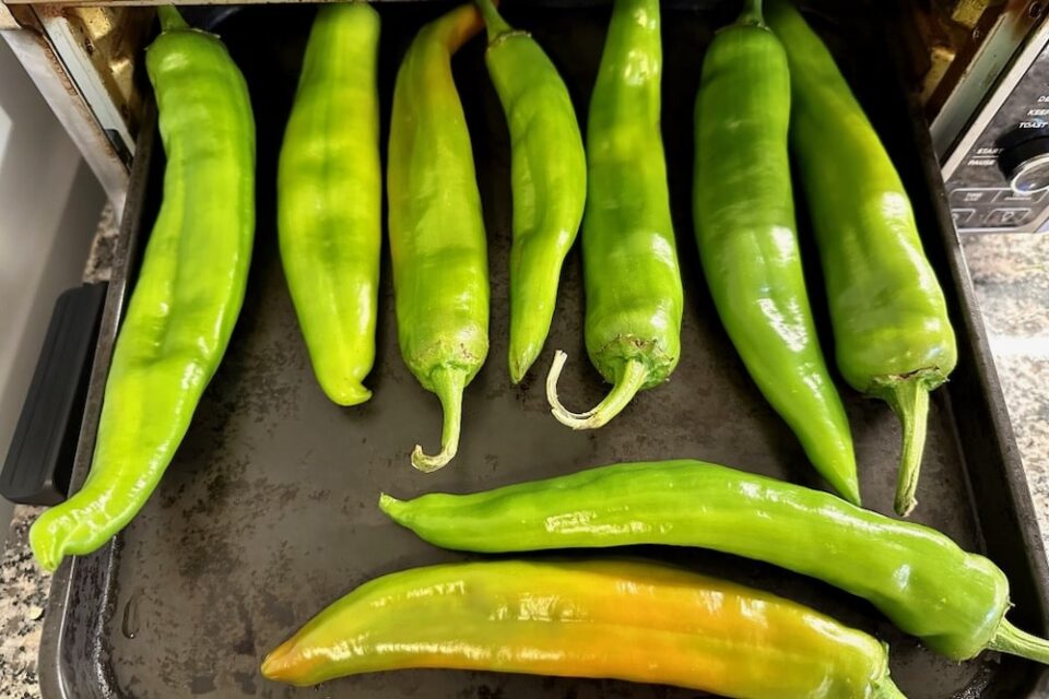 Cubanelle Pepper Substitutes - 5 Flavorful Alternatives - Pepper Geek