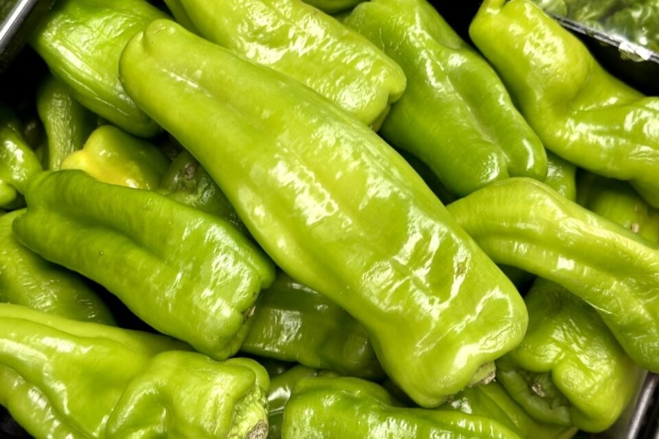 Cobanero Pepper (A Rare Mayan Variety) - Pepper Geek