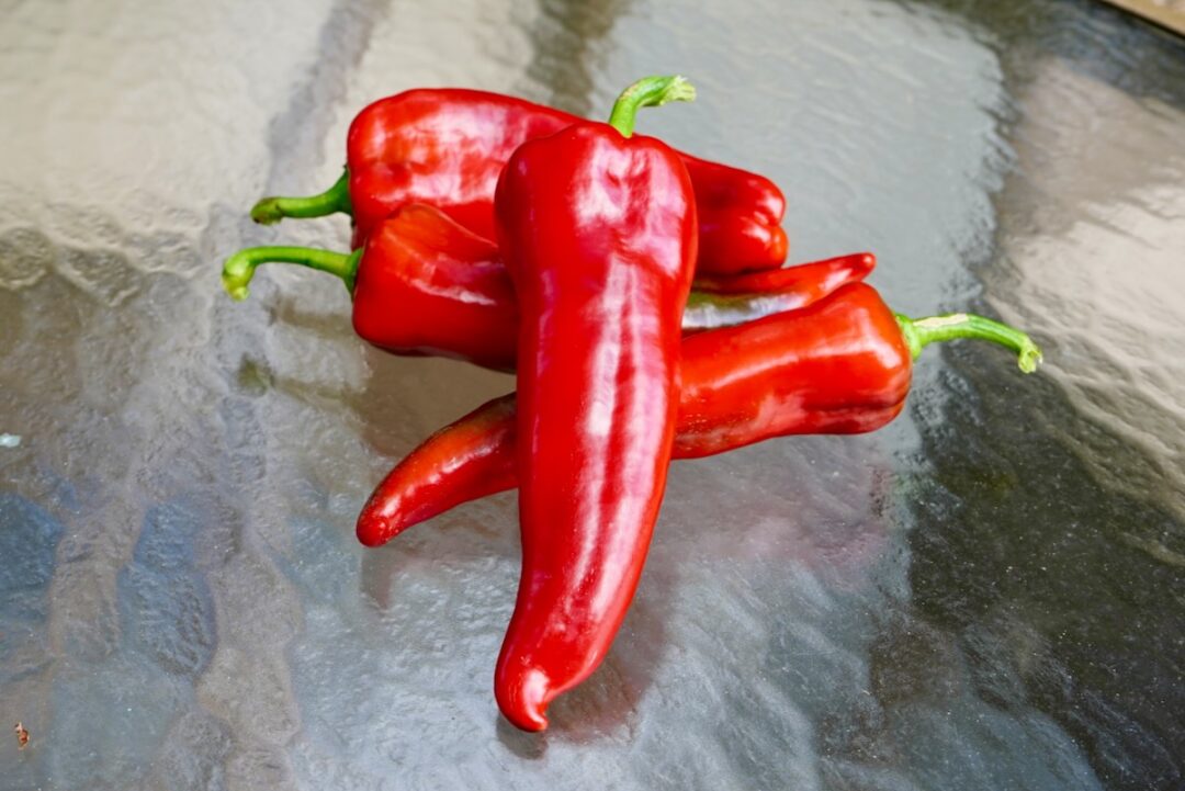 Carmen Peppers - Corno Di Toro Sweet Pepper - Pepper Geek