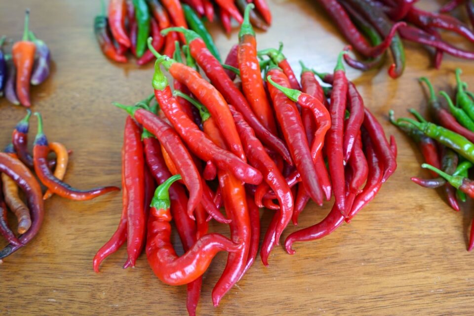 Which Cayenne Variety Is Best? Comparing 7 Types - Pepper Geek