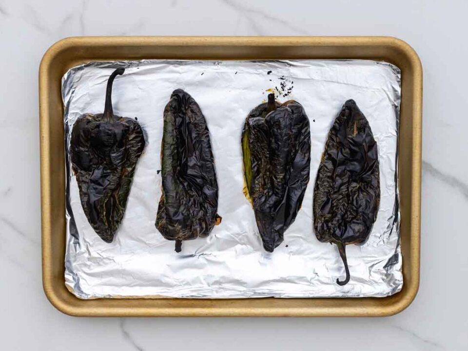 Growing Poblano Peppers From Seed To Harvest