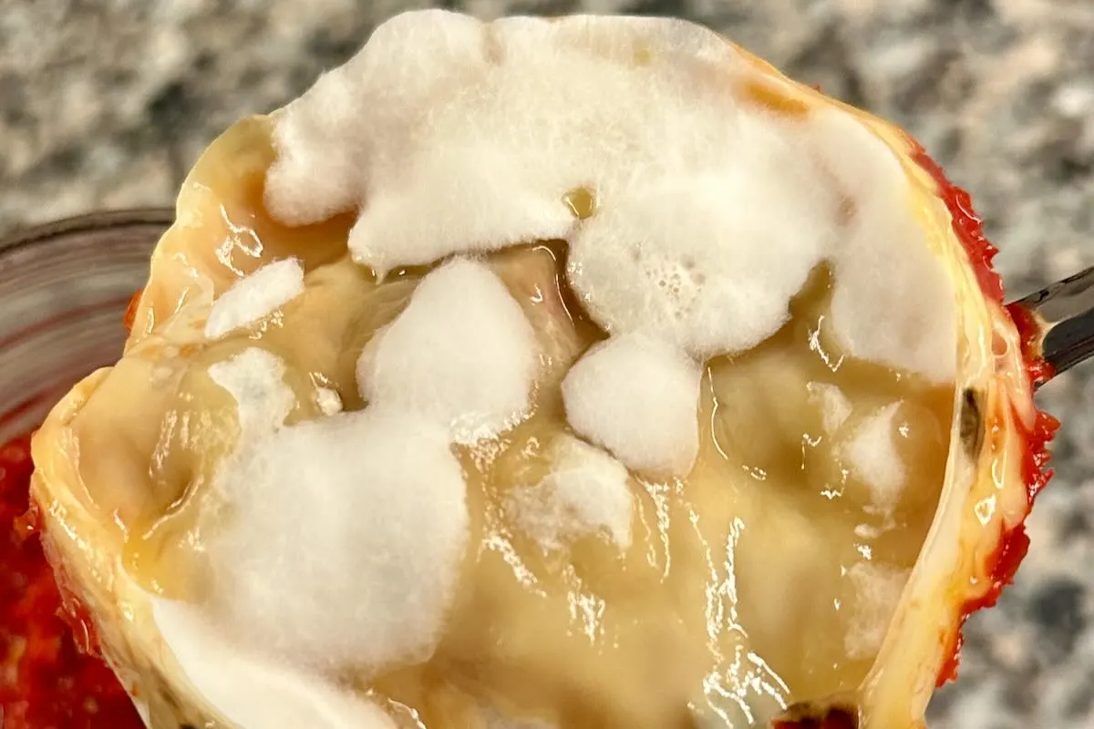 Fermented Hot Sauce - The Best Method for at Home - PepperGeek