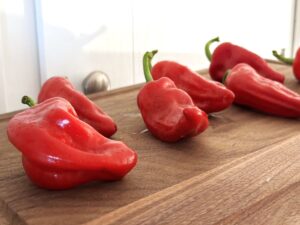 How To Make Paprika - Homemade Recipe